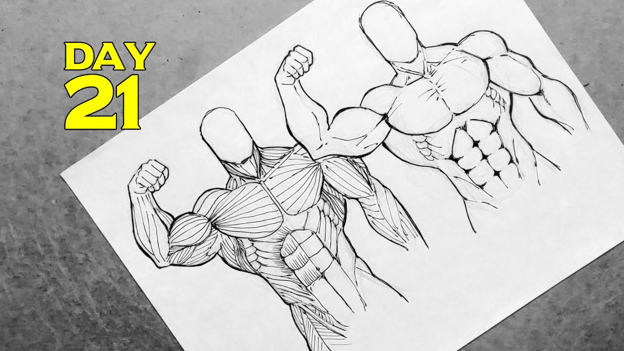 30 Day Drawing Challenge DAY 21 REAL MUSCLES - YouTube