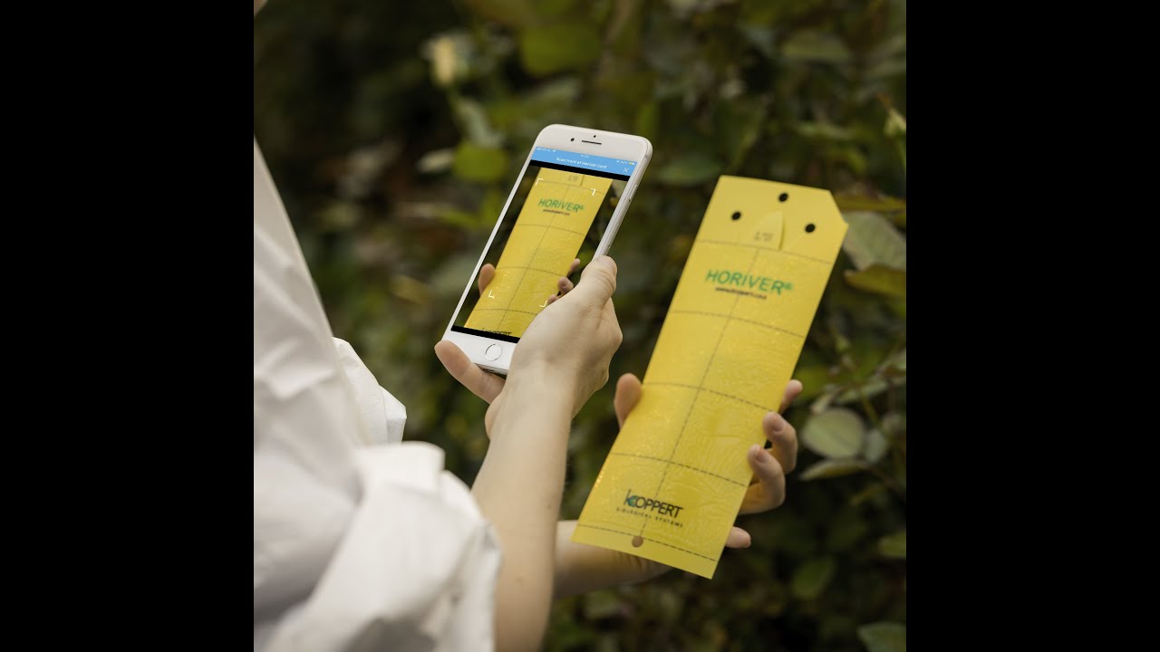 Improving Your Integrated Pest Management Strategy - YouTube