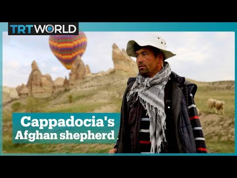 An Afghan refugee herding sheep in Cappadocia