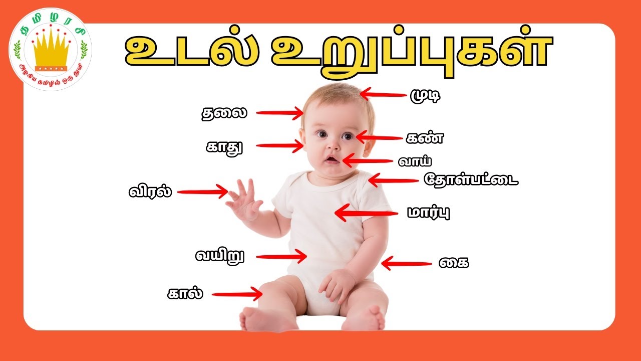 உடல் உறுப்புகள்👶🏼🧑🏻‍🦱- Learn Body Parts name in Tamil for Kids ...