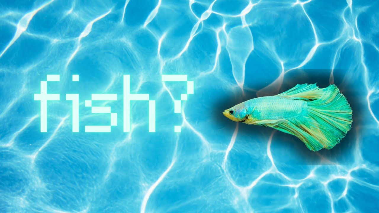 If Lemming Added A Fish To Gtag: - YouTube