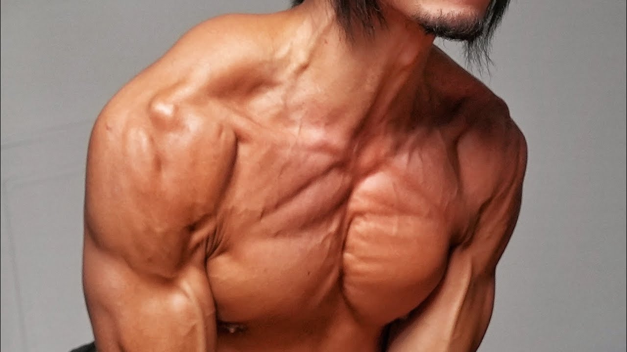 12 MIN FULL BODY FOCUS PECS - Séance explosive - YouTube