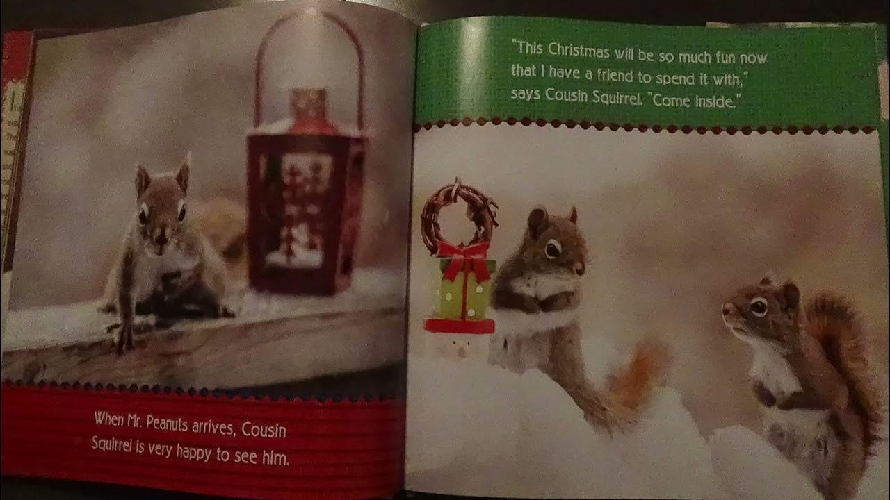 Merry Christmas squirrels - YouTube