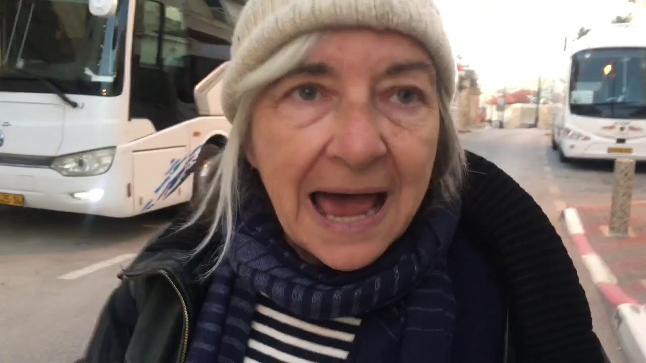 Angela Godfrey-Goldstein on the Bedouin of Palestine - YouTube