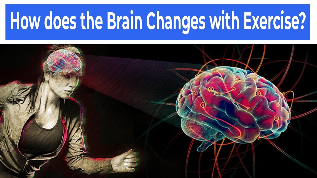 How does the Brain change with Exercise? - YouTube