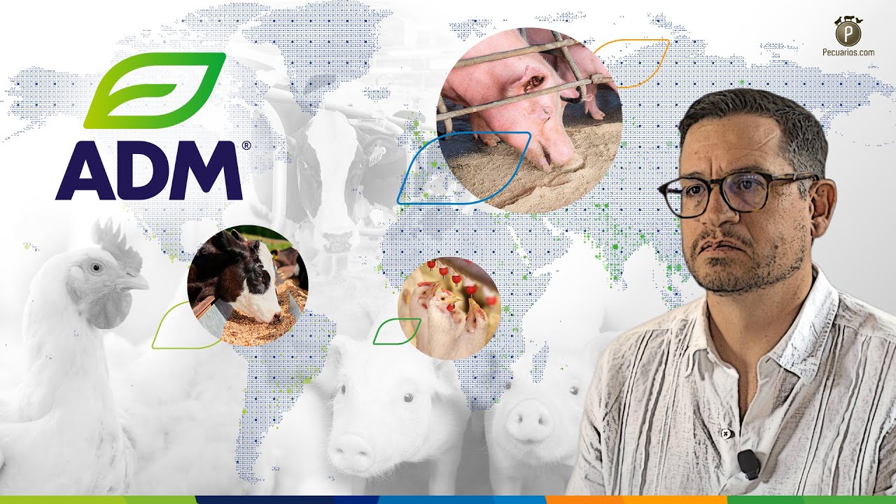 ADM Nutrición Animal se presentó como una sola marca para hablar de ...