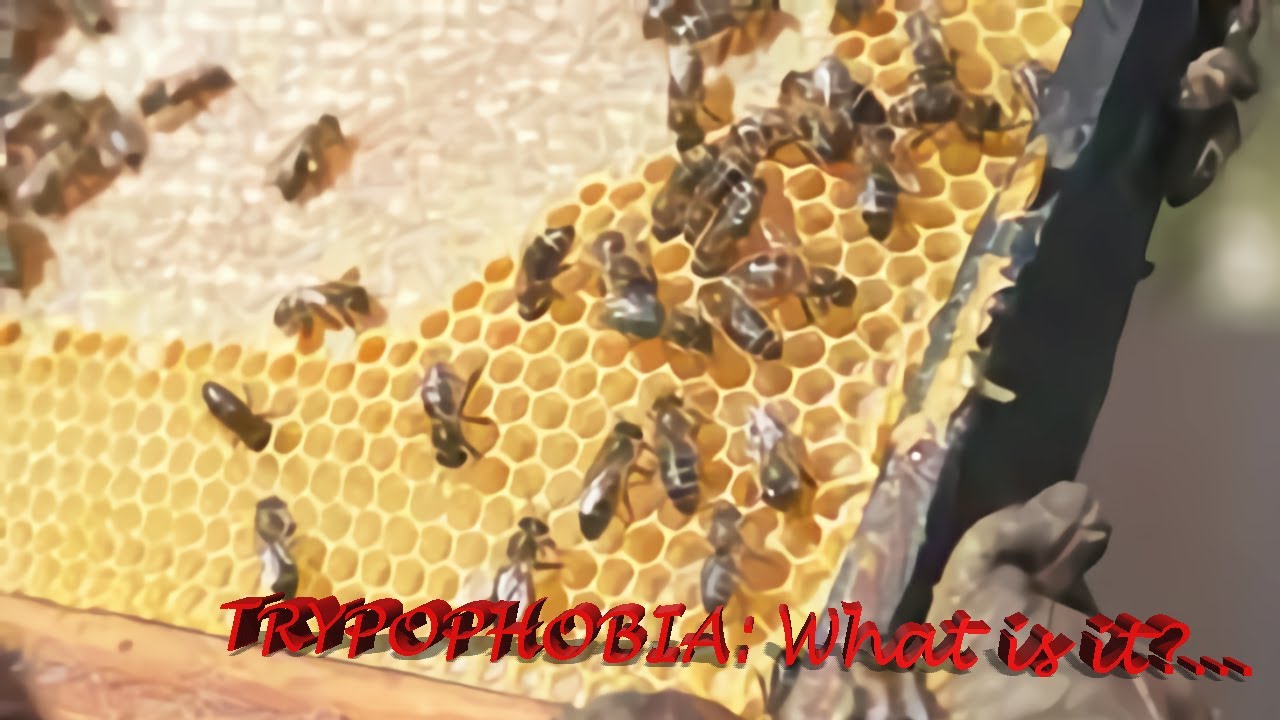 Trypophobia: What Is It? ||World Facts - YouTube