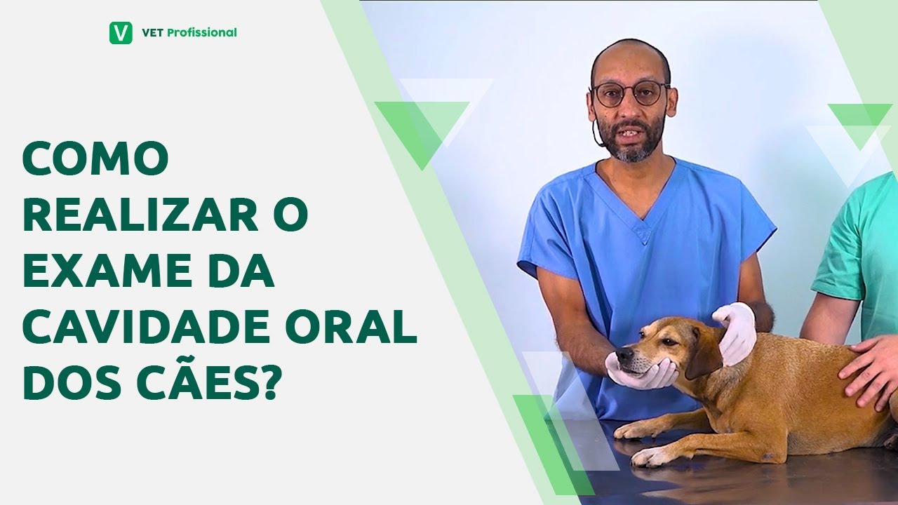 Como realizar o exame da cavidade oral dos cães? - YouTube