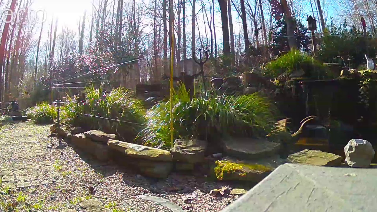 Spherical Bird - YouTube