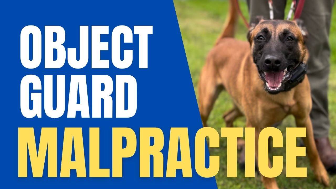 MALINOIS COMPETITION: OBJECT GUARD DOG TRAINING EXCELLENCE FROM THE ...