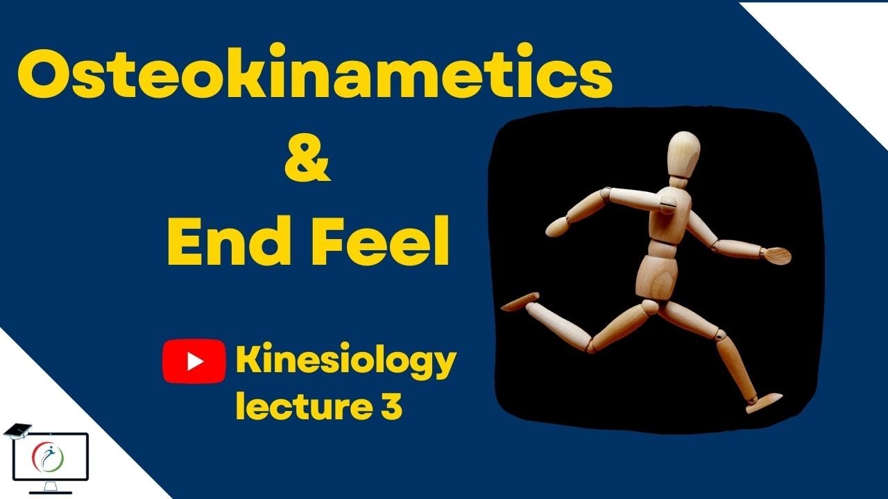 What Is Osteokinematics & The End Feel | Kinesiology 3 - YouTube