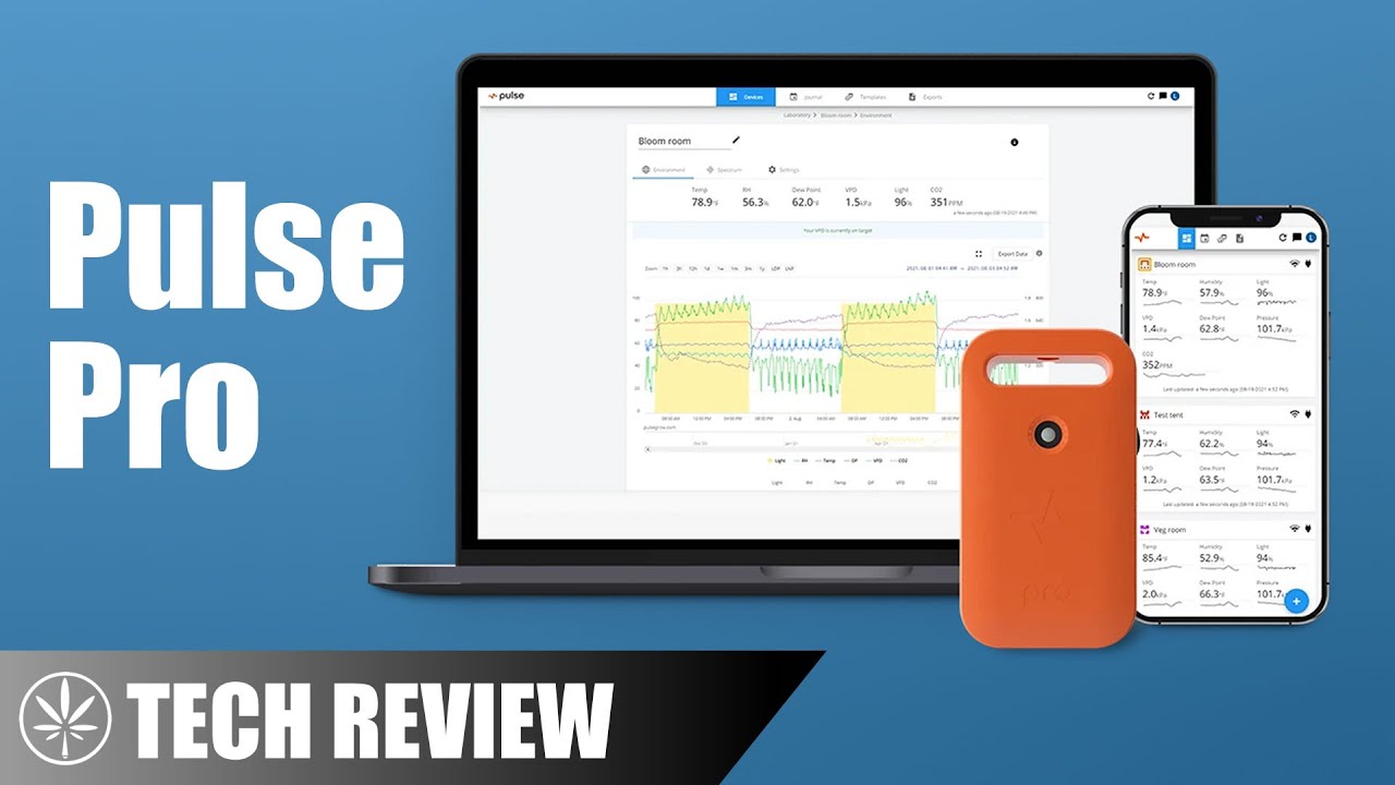 Pulse (One) Pro Review: Jack of All Trades - YouTube