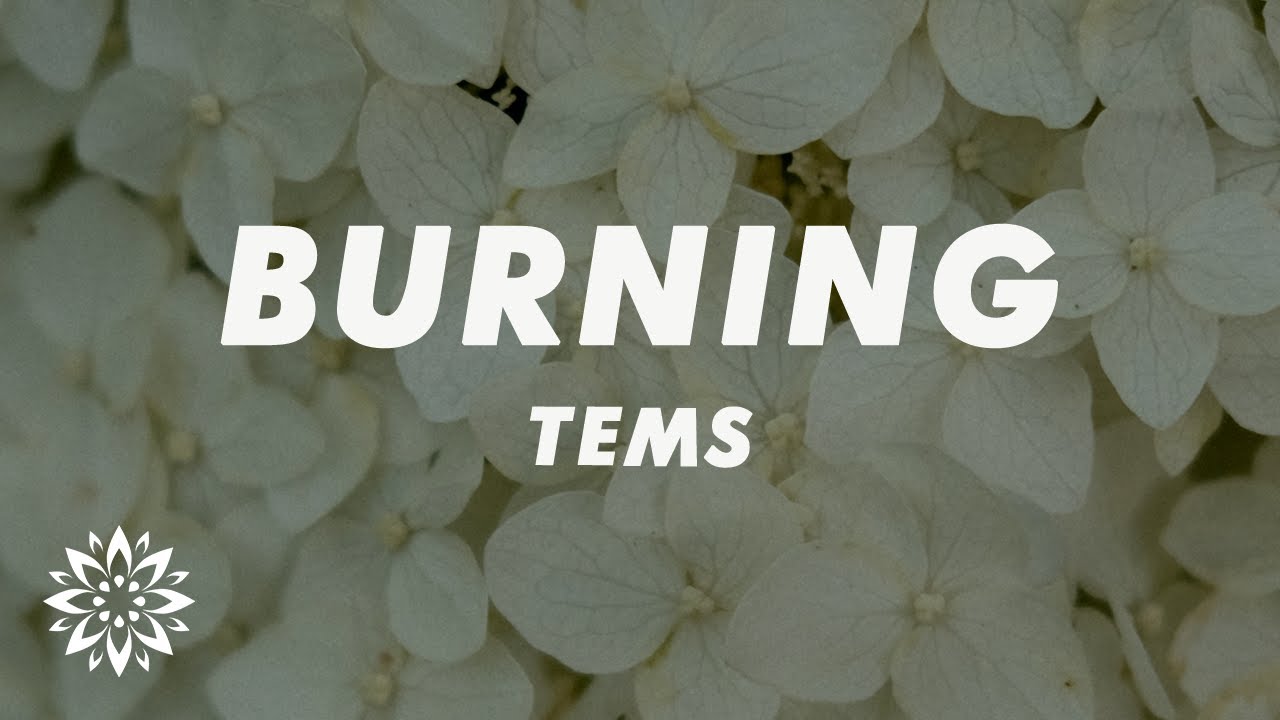 Tems - Burning (Lyrics) - YouTube
