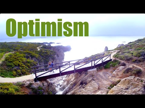 The Work of Optimism: Creating perspective in challenging times [Optimism technique]