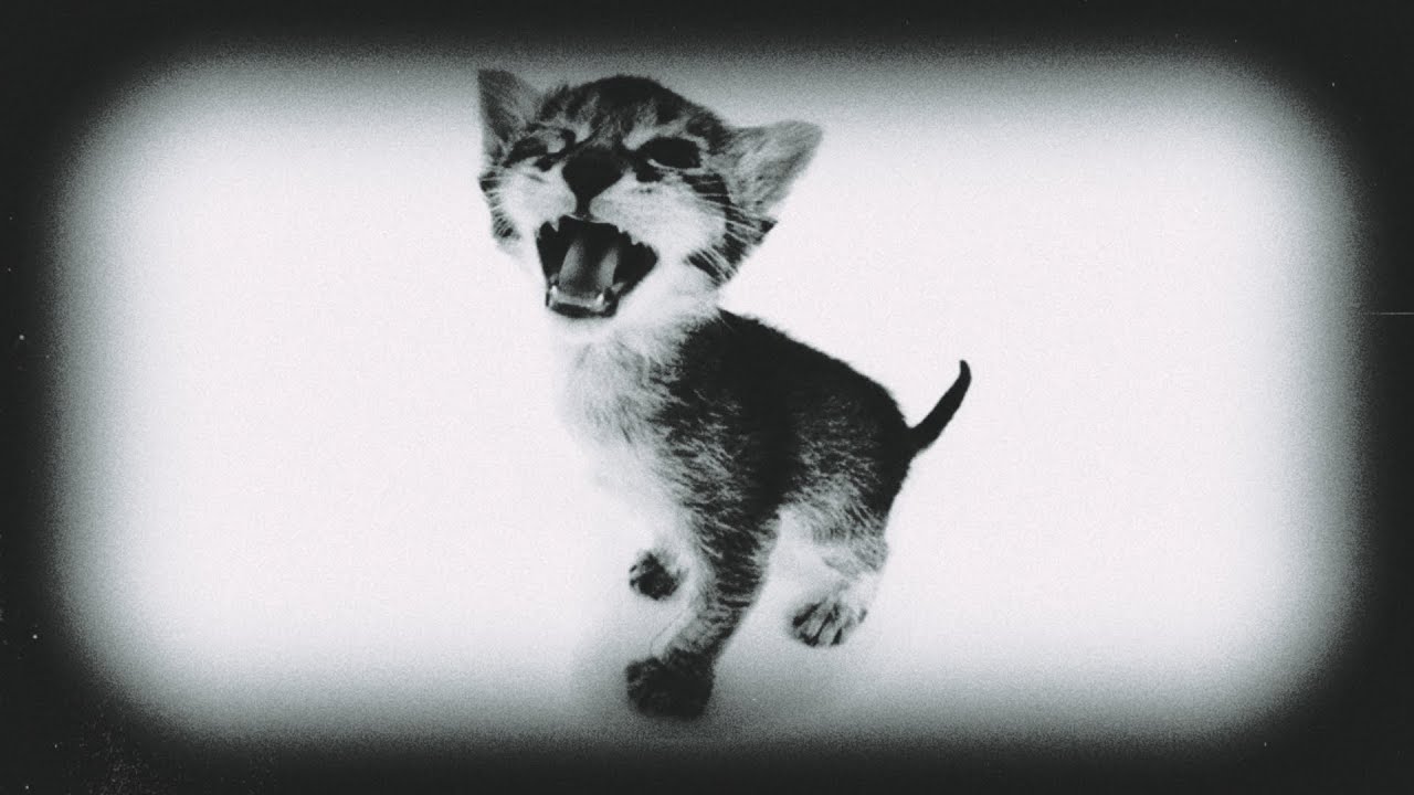 Arrrgg!!!: The Film - YouTube