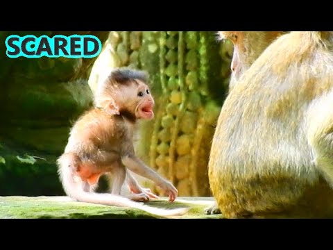 [WATCH THIS] LOOKED PITIFUL TINY BABY...POOR BABY MARIEL LOUDLY CRY ...