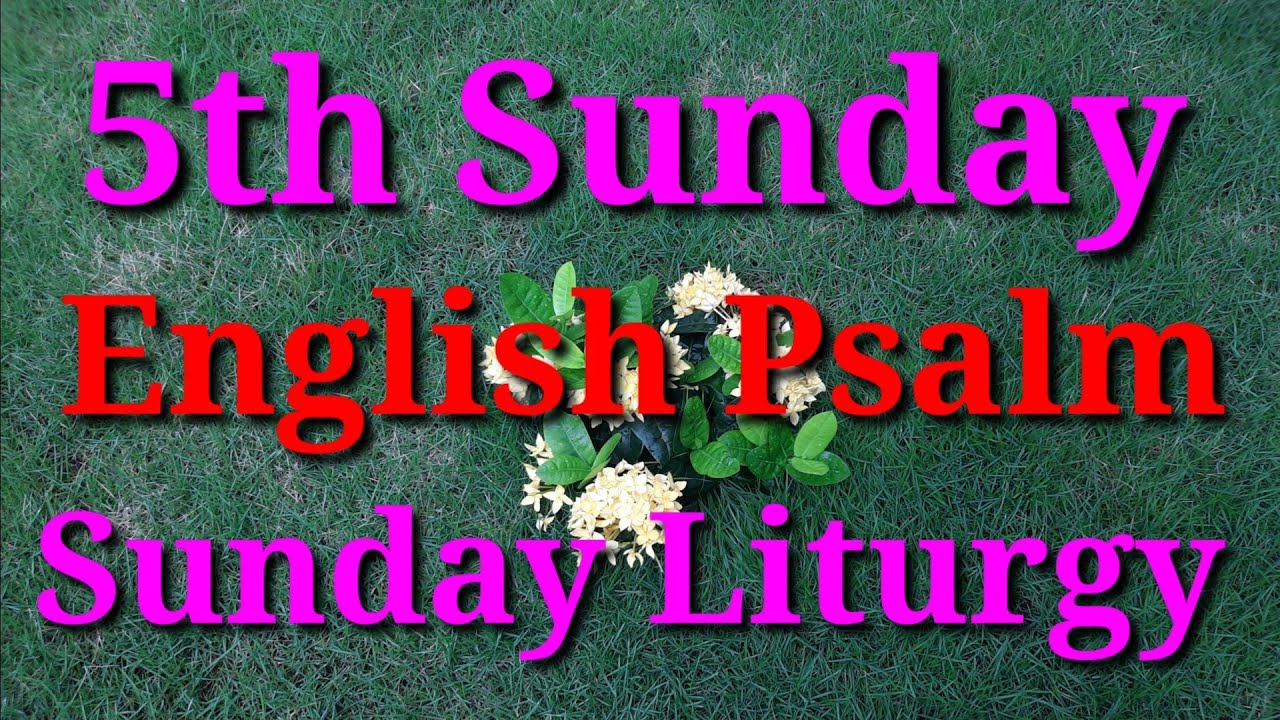 A light rises in the Darkness for the Upright-5th Sunday of the Year ...