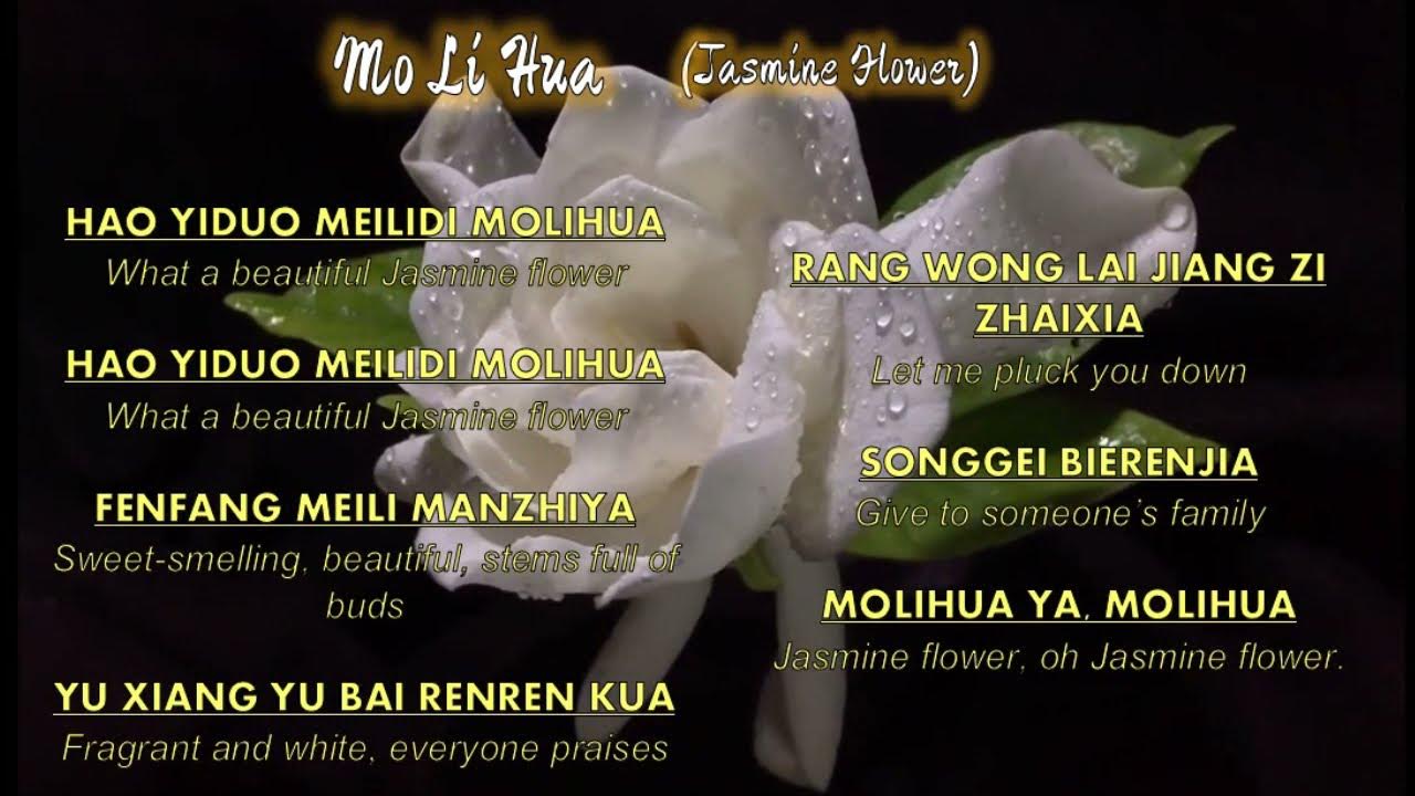 Mo Li Hua (Chinese Traditional Folksong) - YouTube