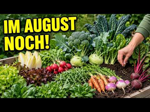 15 Gemüse, die du im August NOCH säen oder pflanzen kannst!