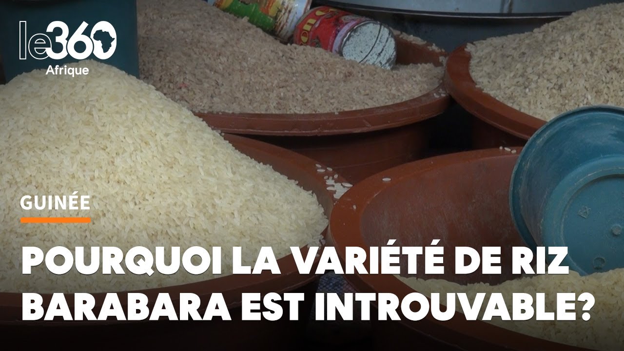 Guinée «Même à 50 000 francs, on n’en trouve pas» où est passé le riz ...