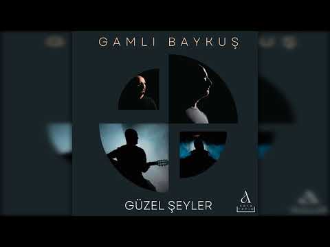 Gamlı Baykuş - Gece