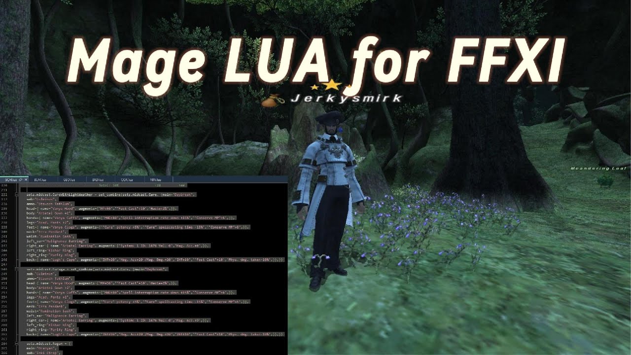 FFXI How To Download And Set Up A LUA For Your Mage Jobs - YouTube