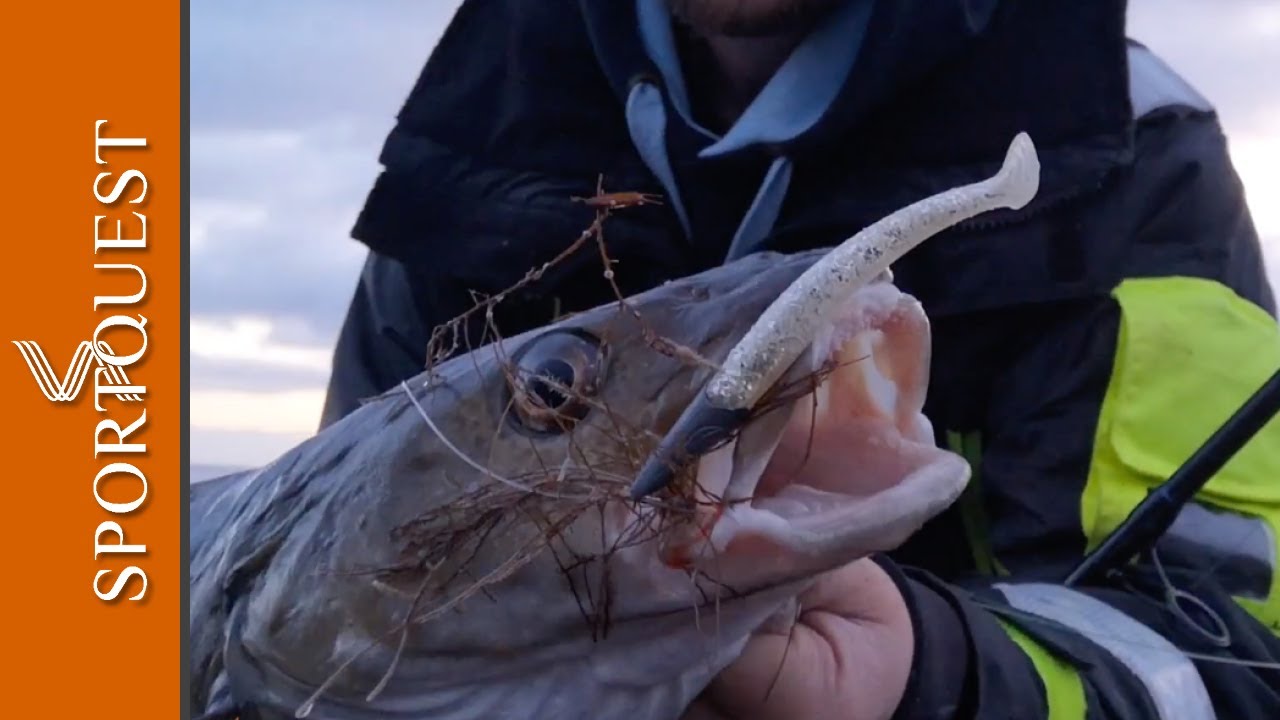 Extreme Jig Fishing for Cod on Light Tackle On the Lofoten Islands ...