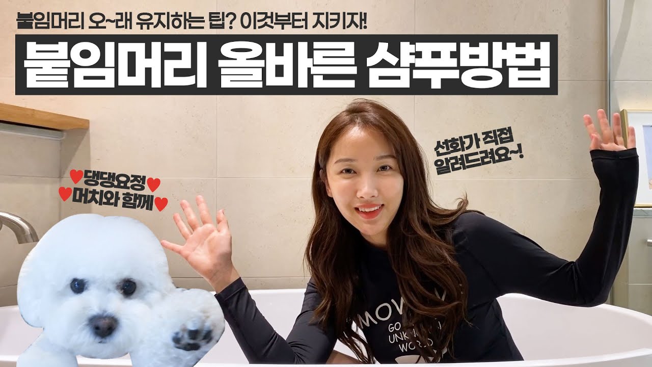 붙임머리 오래 유지하는 꿀팁 이것부터 지키자👌 선화가 직접 알려주는 붙임머리 올바른 샴푸방법 🙋♀💖 특별게스트
