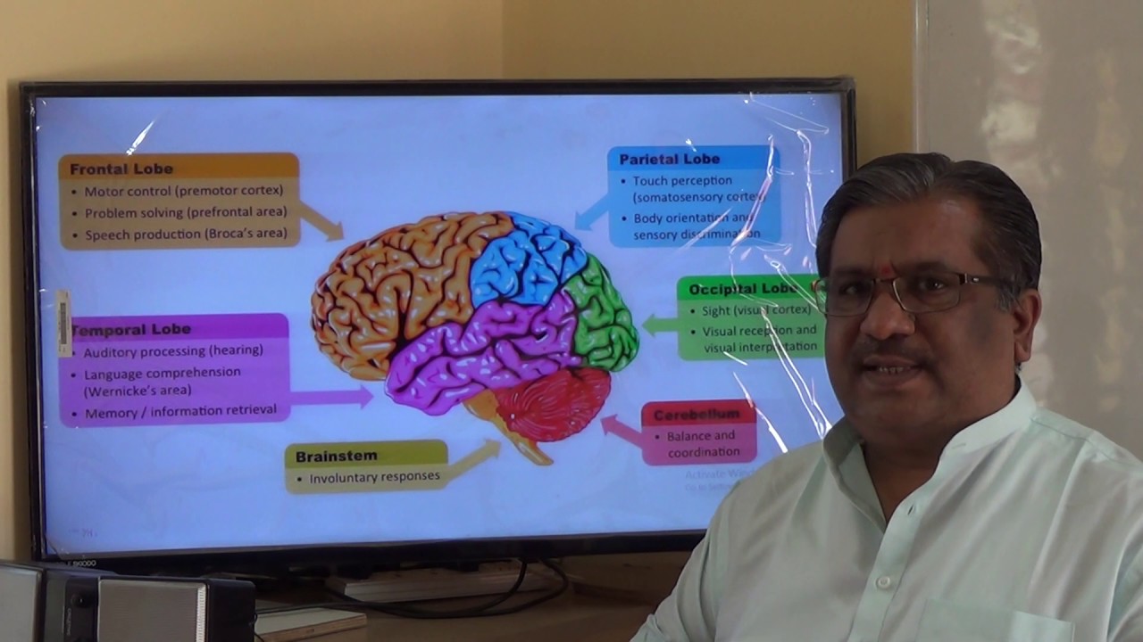 7.Control and co-ordination Lec-002 - Brain & Spinal cord CBSE X ...