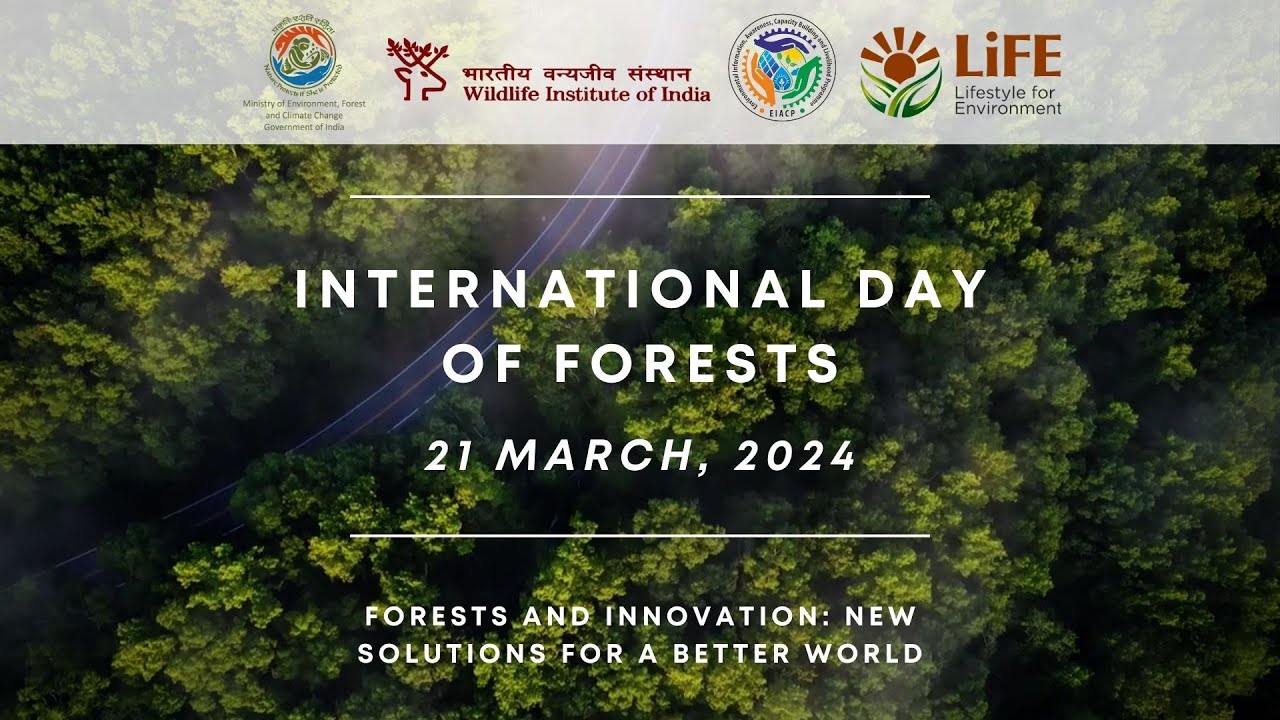 International Forest Day, 21 March 2024 - YouTube