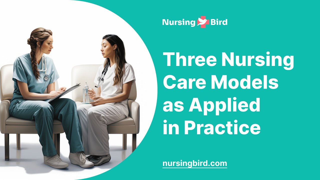 Three Nursing Care Models as Applied in Practice - Essay Example - YouTube