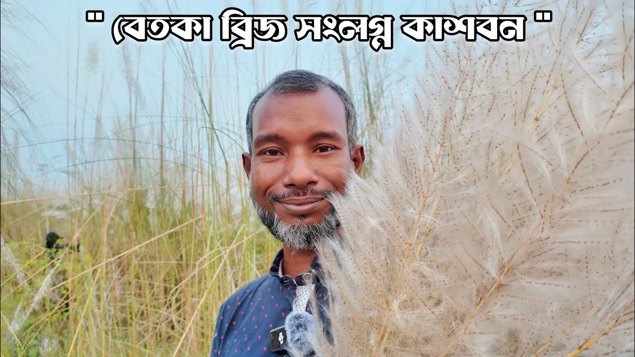 বেতকা ব্রিজ সংলগ্ন কাশবন। টংগীবাড়ি। মুন্সিগঞ্জ। Masud Munshi - YouTube