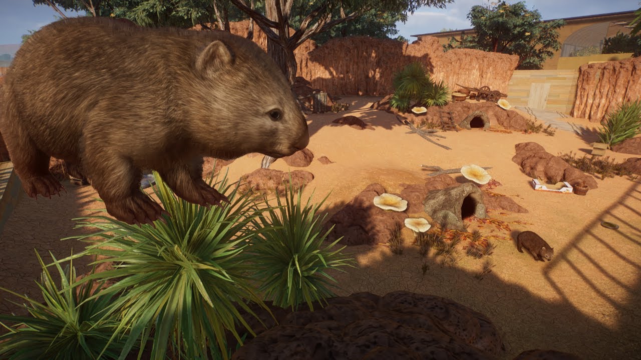 Wombat Habitat | Speedbuild | Planet zoo - YouTube