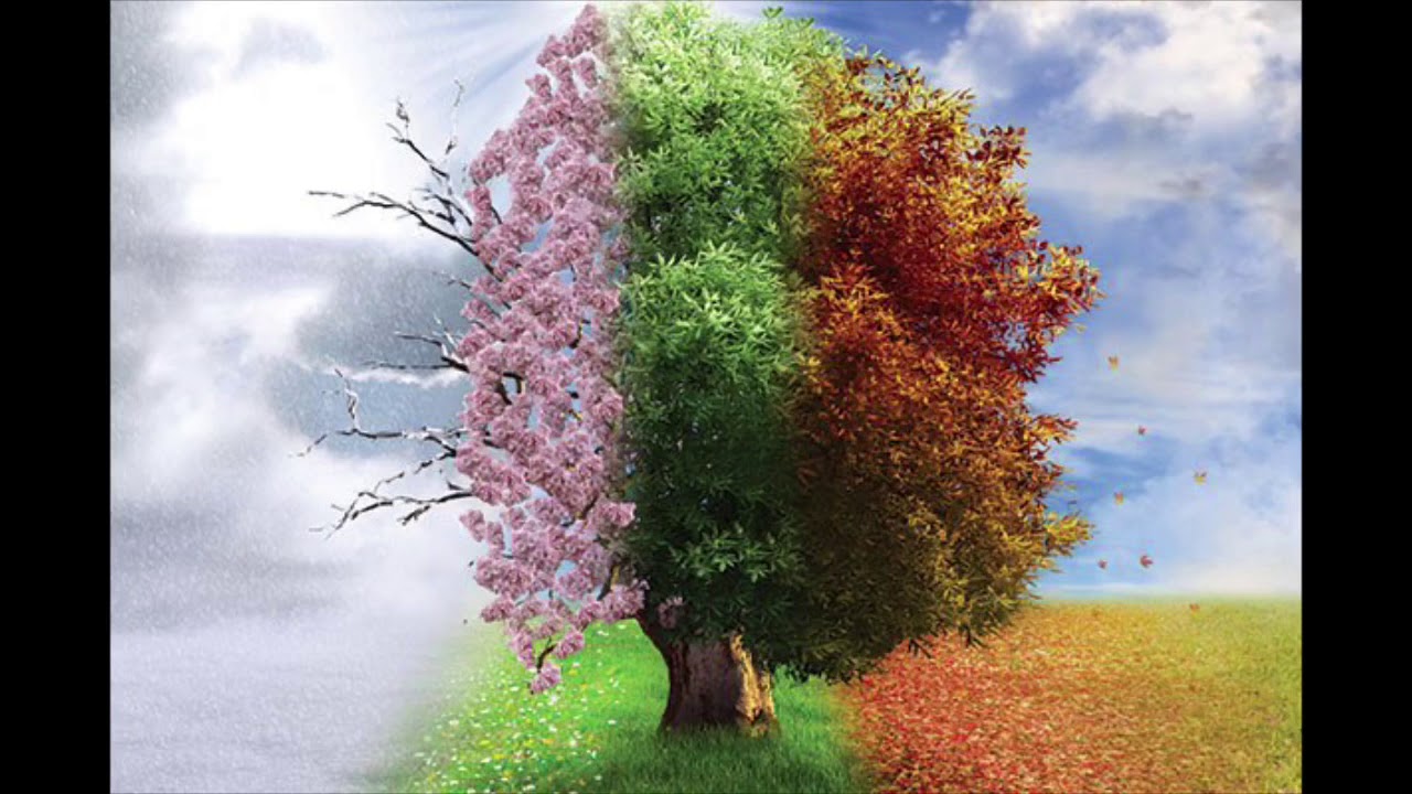 Four Seasons Dream Version - Vivaldi - YouTube