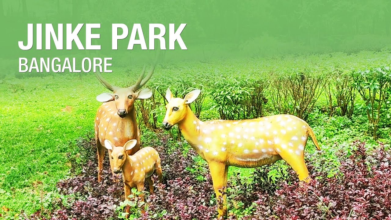Jinke Park: Dr Rajkumar Park Bangalore 2024 - YouTube