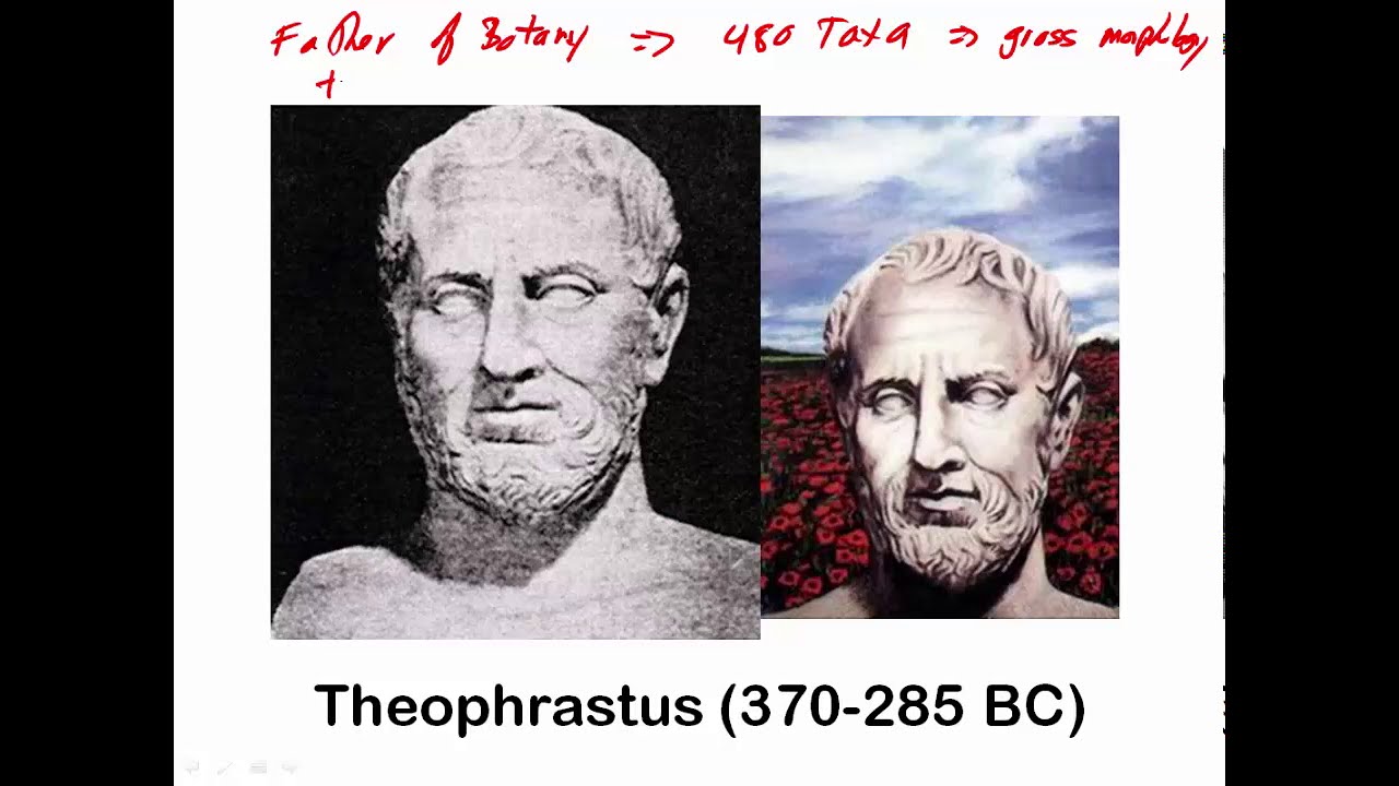 History of Systematics - YouTube
