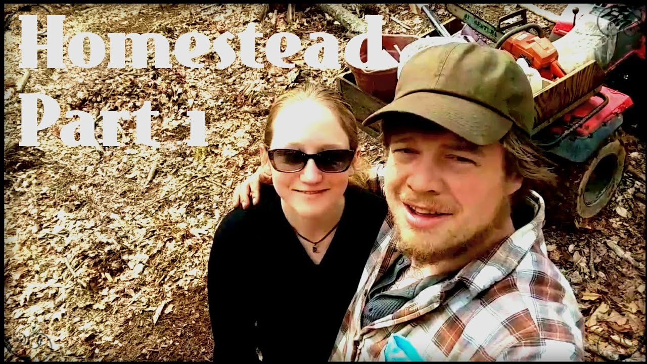 Homestead Part 1 - Septic & Trees - YouTube