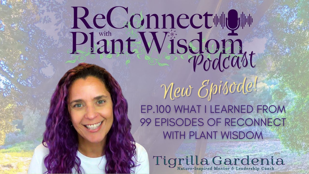 Ep.100 What I Learned from 99 Episodes of ReConnect with Plant Wisdom ...