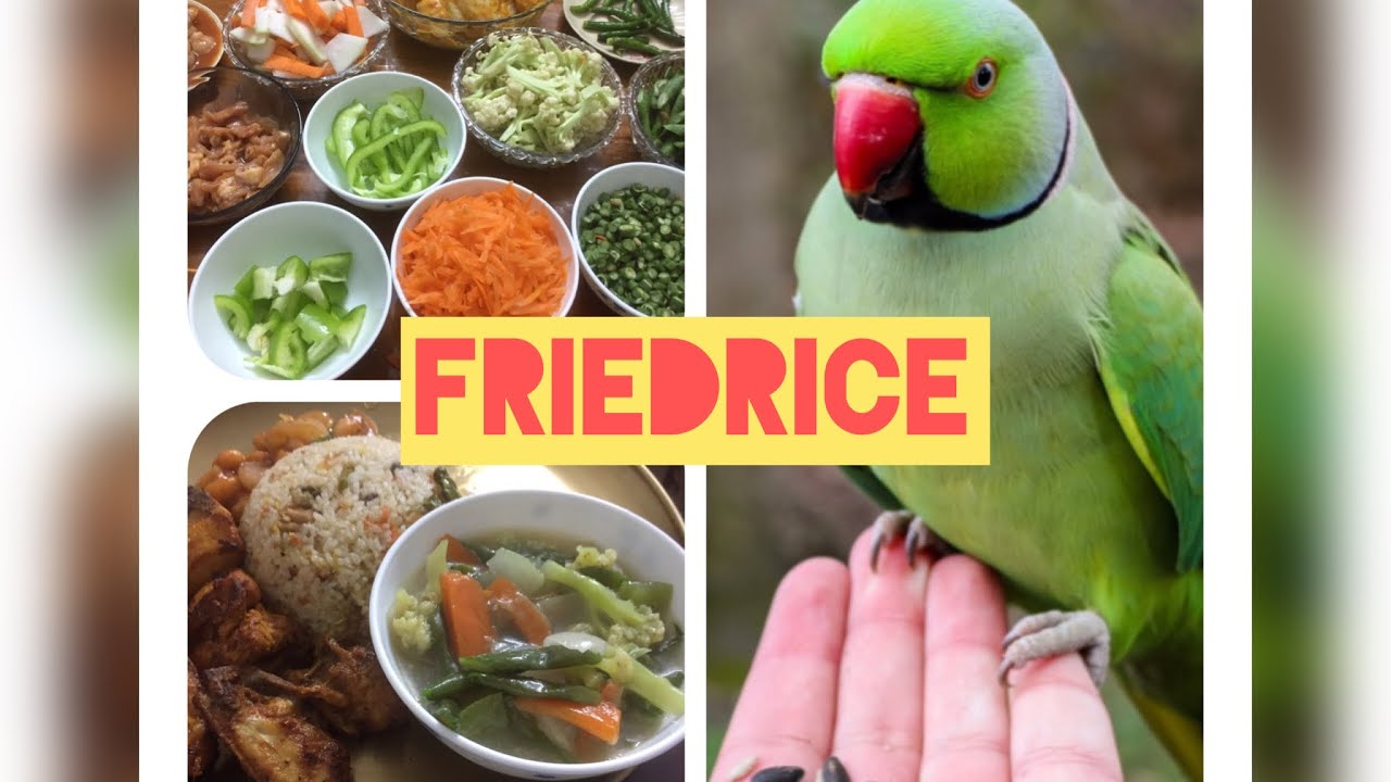 How to cook make fried rice recipe. - YouTube