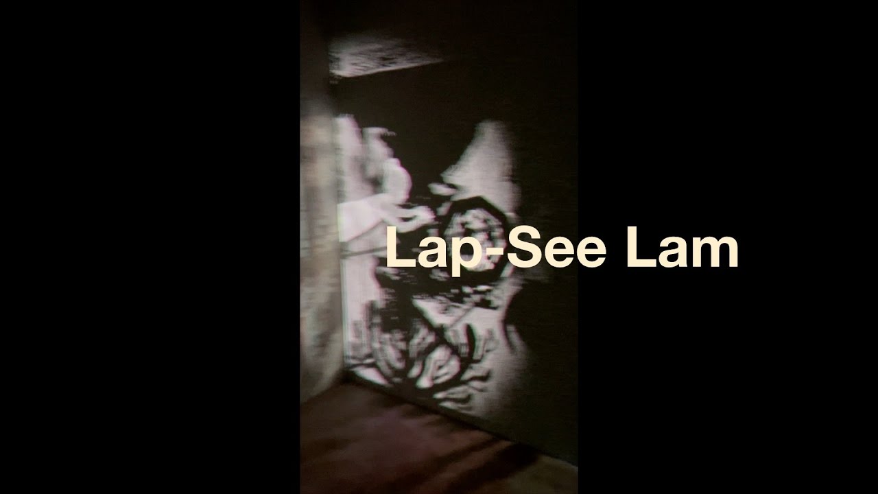 Venice Biennale Artists 2024 • LAP-SEE LAM - YouTube