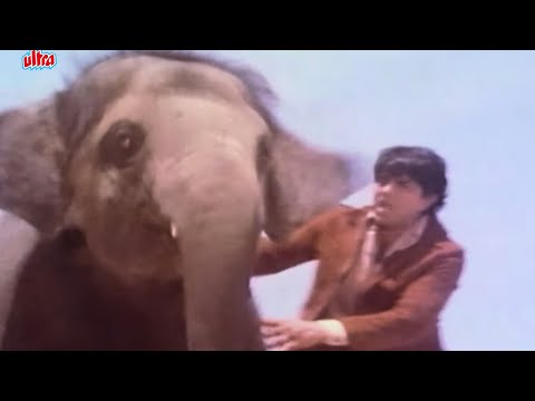 Climax - Hathi Ne Bachayi Dharmendra Ki Jaan - Maa Movie Part 5 - Action Scene