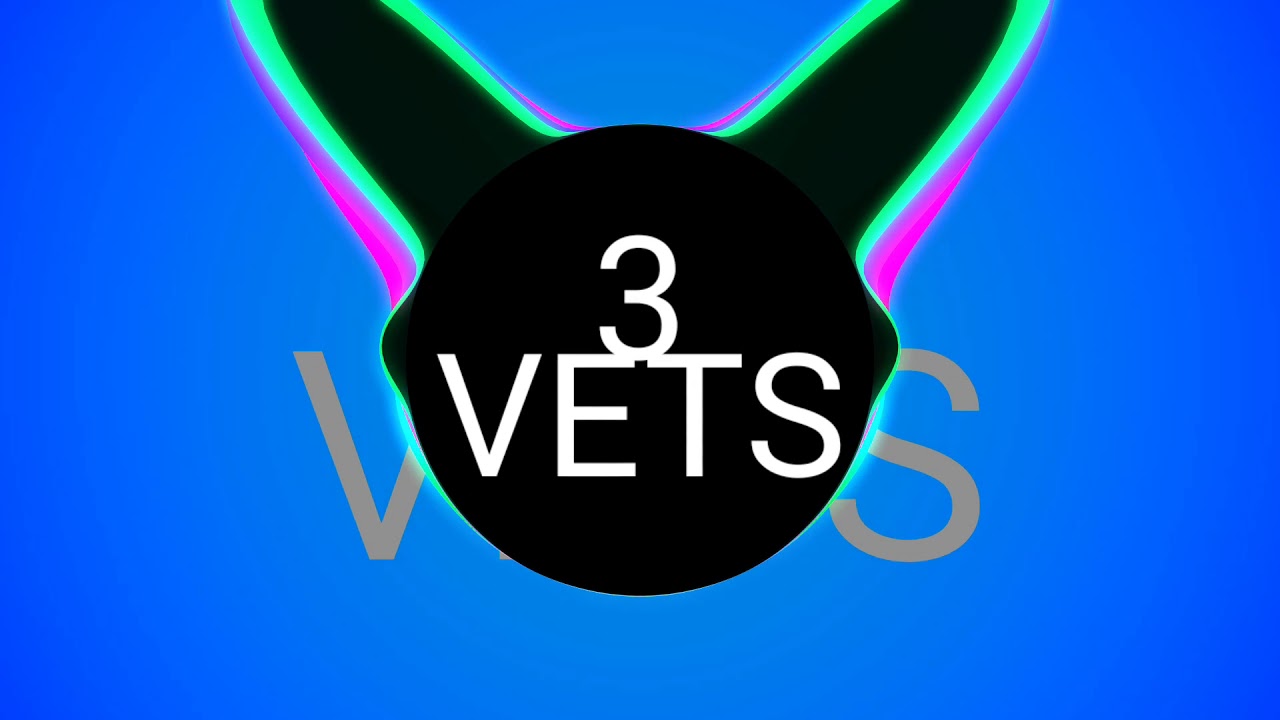 3 vets - YouTube