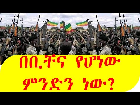 Adadis Zena I አዳዲስ ዜና - በቢቸና የሆነው ምንድን ነው? - YouTube