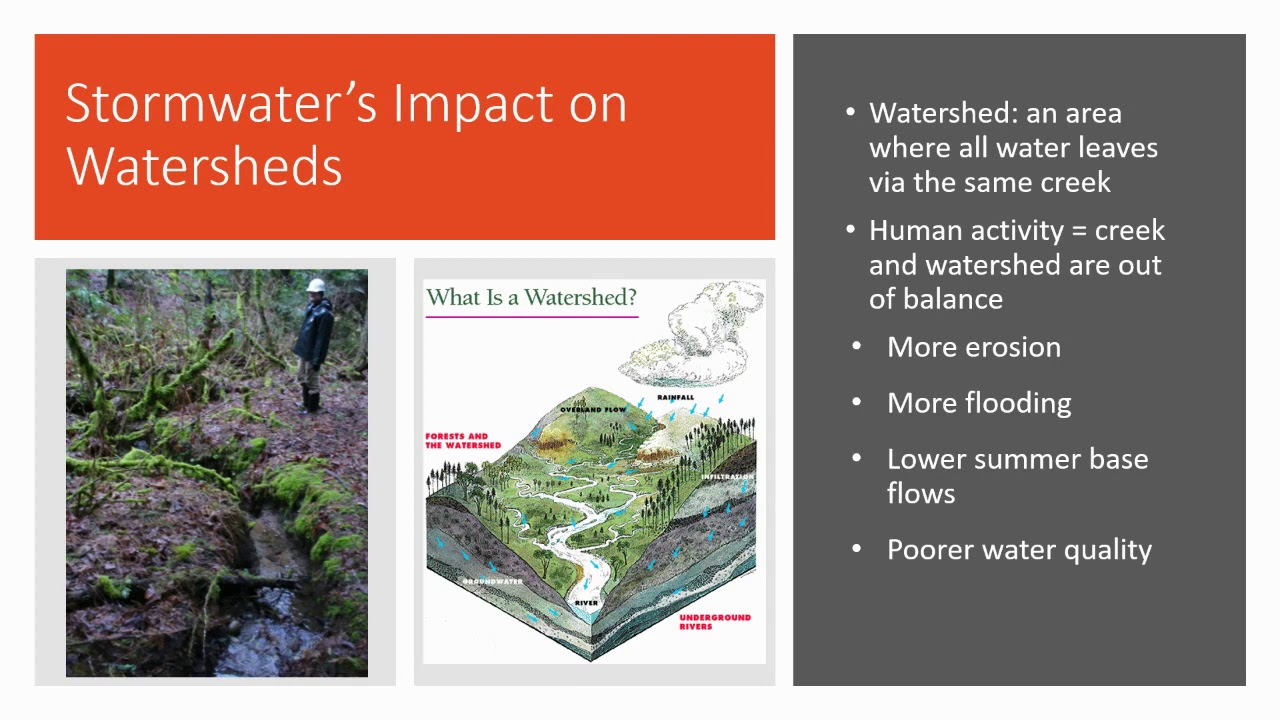 Stormwater Runoff and Control 101 - YouTube