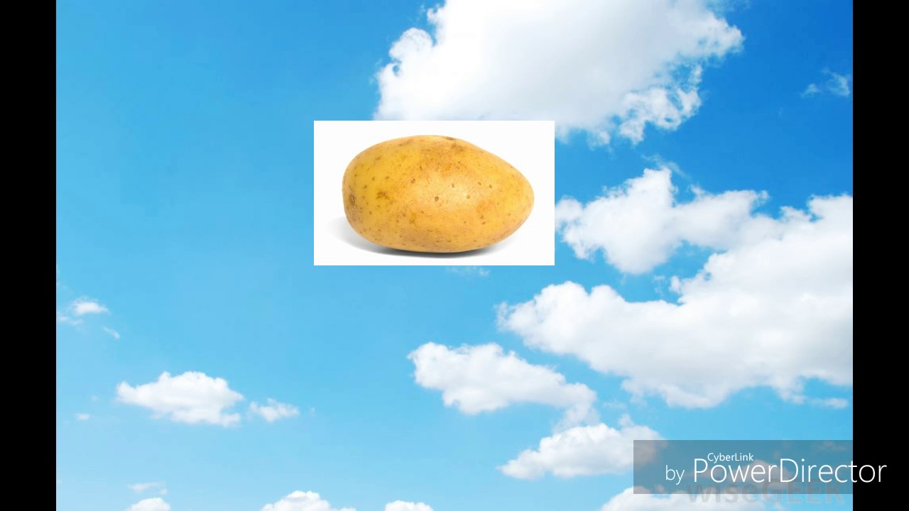The Best Song Ever. THE POTATO SONG! - YouTube