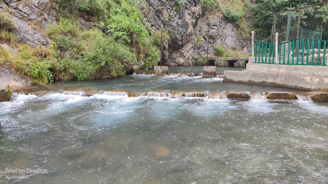 Aripal Spring: A serene gem, an essential water source in Tral - YouTube