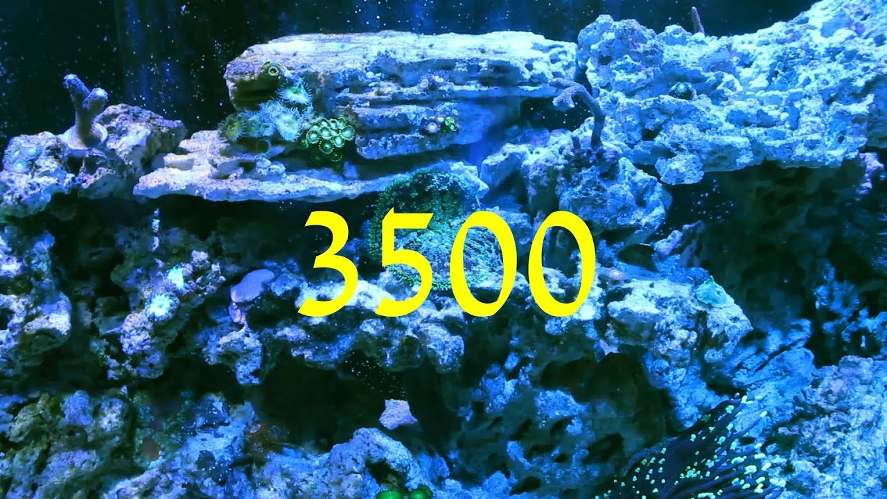 Drooli 35 - 3500 (Official Music Video) - YouTube