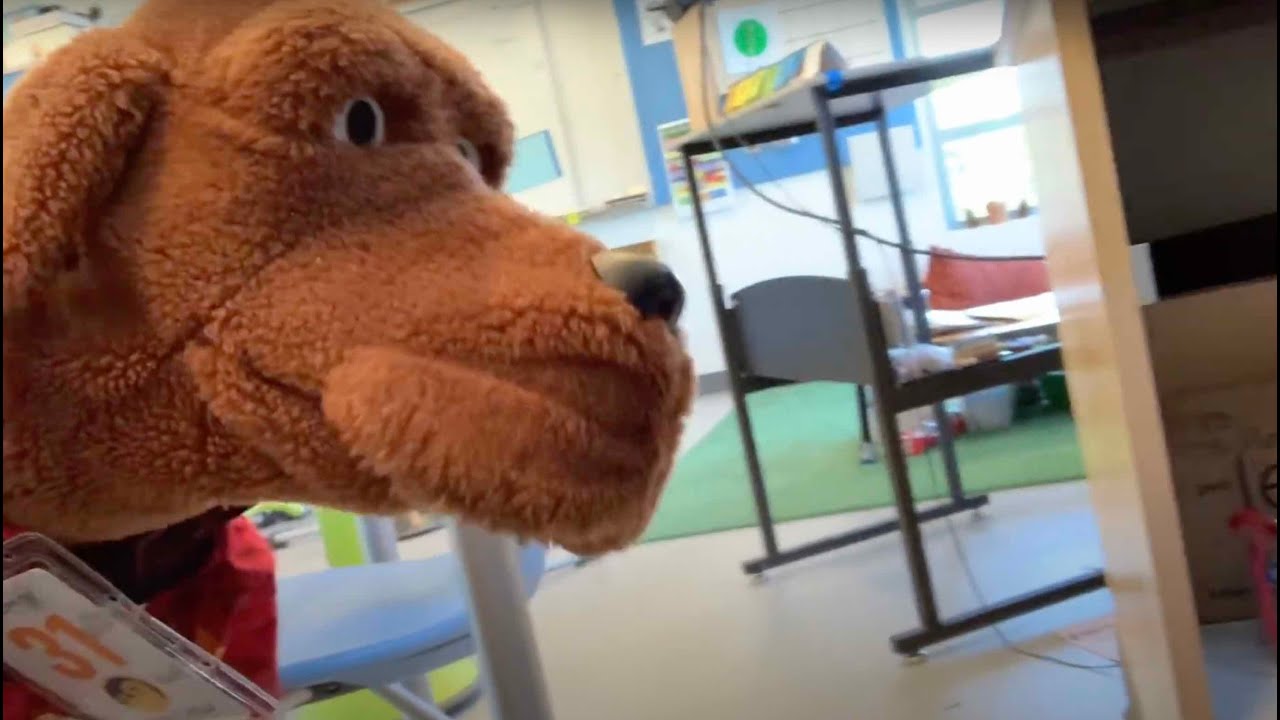 Darn Dog Endorses More Prints! - YouTube
