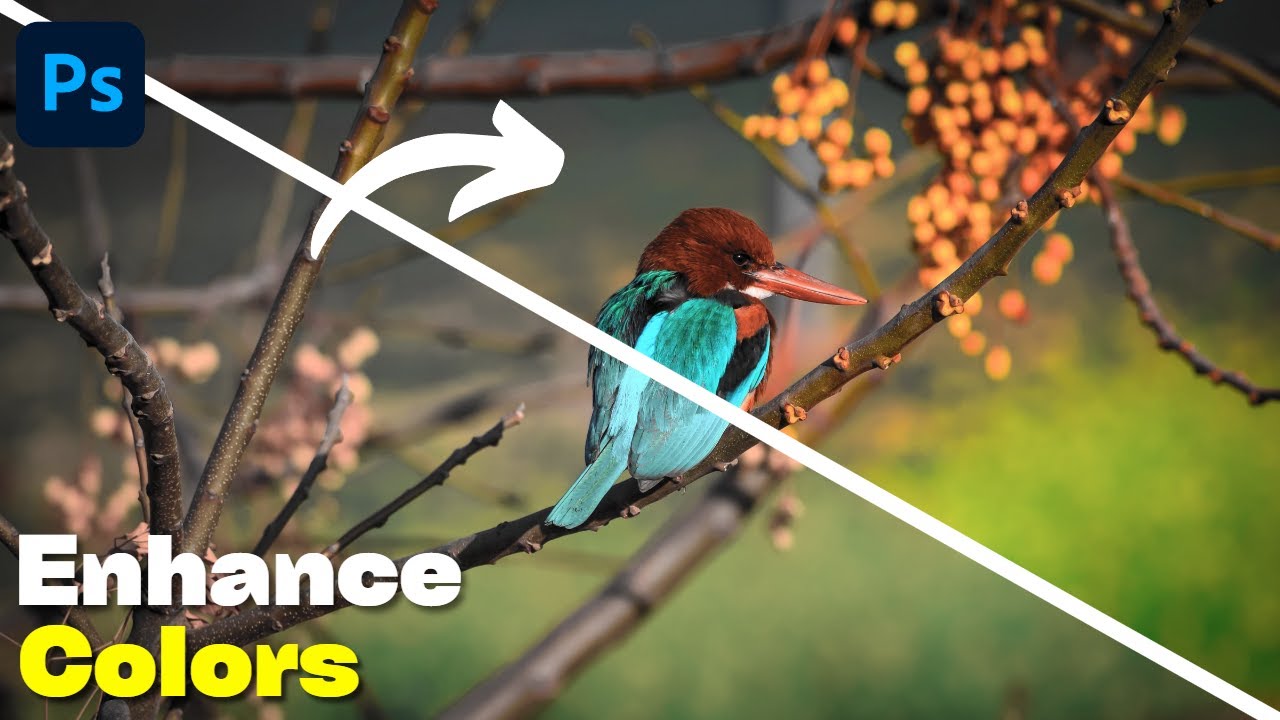 The Most Natural Way to Enhance Colors in Photoshop - YouTube