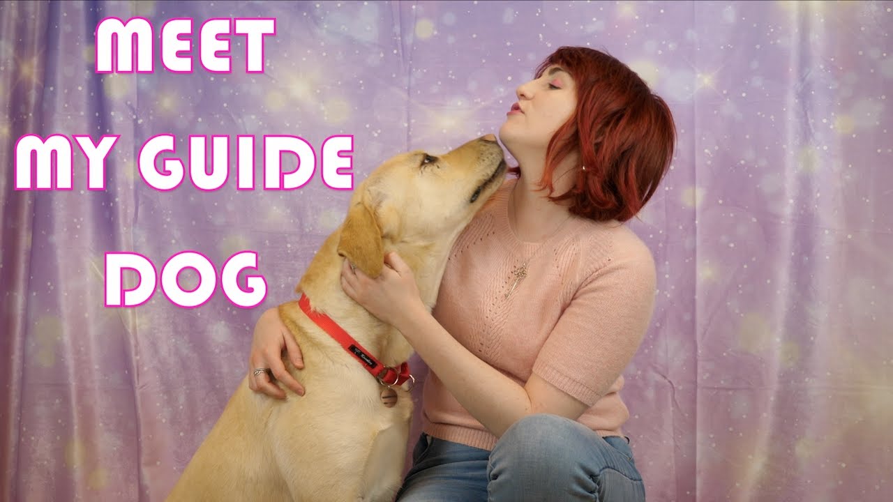 MEET MY GUIDE DOG BANNER - YouTube